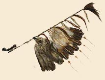 Folsom Family History, page 2