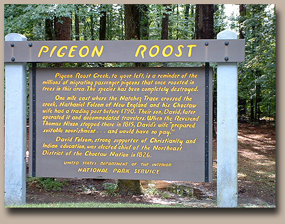 Family Genealogy Opening